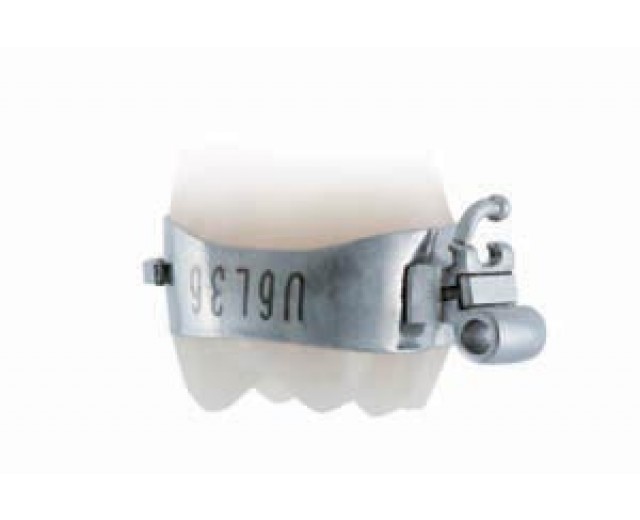 Bandas Molares - Bandas de Ortodoncia - Materiales de Ortodoncia